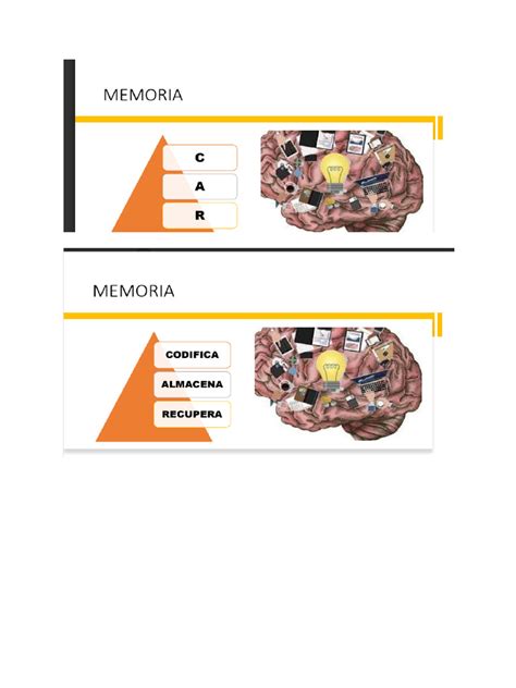 Proceso Cognitivo De La Memoria Pdf