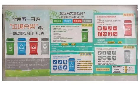 垃圾分类 推进垃圾分类，民附青年争先 中央民族大学附属中学