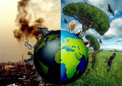 Những Cách đơn Giản Mà Ai Cũng Có Thể Làm để Bảo Vệ Trái đất Bloganchoi