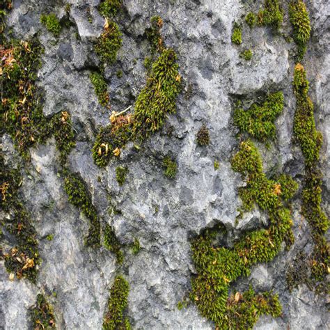 Stone Moss Texture Pack 2 By Angeleowyn On Deviantart