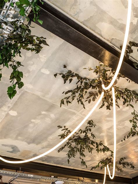 Tracer Loop Pendant Light