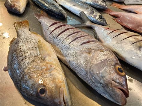 Huawei Pura Pro Review Powerful Camera Flagship Phone Tested Hitech Century