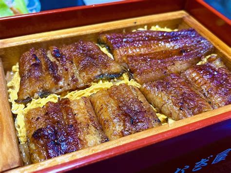 【大牟田市】7月14日（金）、築町に本格手打ちうどんそばのお店「ねごろ屋」がオープンしました！ 号外net ピックアップ！福岡県