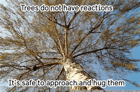 There Are Many Branching Paths In Life Rpathfindermemes