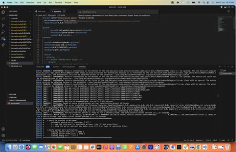 Svtcannot Start One Of The Projects In Acme In The Liberty Dashboard