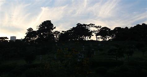 Grave Yard 20170802 Album On Imgur