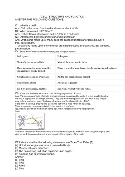 Solution Cell Structure And Function Class 8 Studypool
