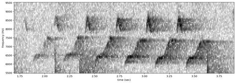 Audio And Spectrograms — Opensoundscape 050 Documentation