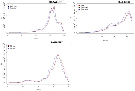 Algorithms Free Full Text Elevating Univariate Time Series Forecasting Innovative Svr