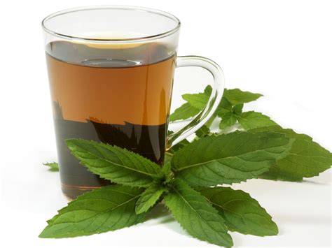 Propiedades Del Té De Hierbabuena Beneficios Y Usos