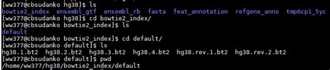 Peppro Cannot Find Bowtie Index Issue Databio Peppro Github