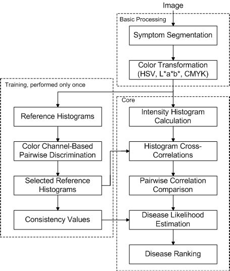 Basic Structure Of The Algorithm Download Scientific Diagram