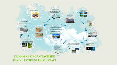 Ekolo Ke Organizacijske Razine I Vodeni Ekosustavi By Lea Sari On Prezi