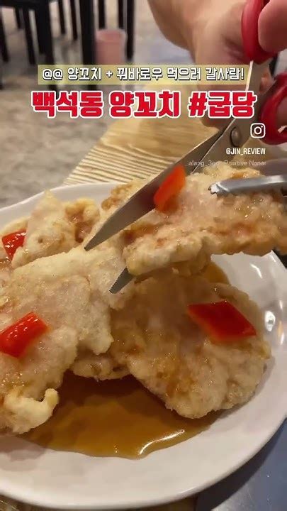 고양시맛집 고양시맛집추천 백석동양꼬치 백석동양갈비 일산양갈비 양꼬치맛집굽당 Youtube