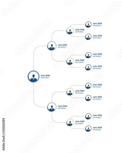 Business Hierarchy Infographic Understanding Organizational Structure