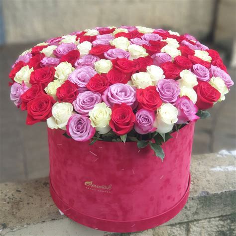 Микс из 101 розы в бархатном цилиндре купить в Минске, закажи, а мы ...