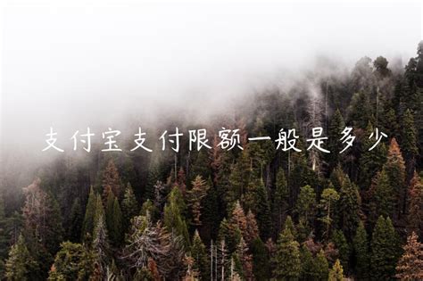 支付宝支付限额一般是多少 幕思城