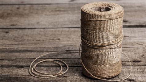 Woman Makes Simple DIY Trellis Out Of String Dengarden News