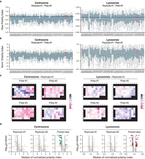Identification Of Hits From The Sirna Screen A B Representative Raw