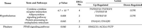 The Significantly Enriched KEGG Pathway And Related Differential Genes