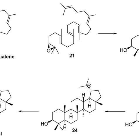 Chemical Structures Of Betulinic Acid 5 Ursolic Acid 6 Oleanolic