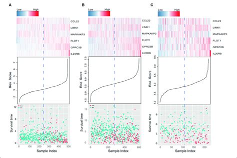 Irg Expression And Survival Information In The Training And