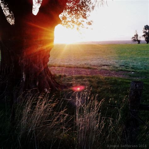 Paisaje De Un Atardecer Campestre Landscape Outdoor Celestial