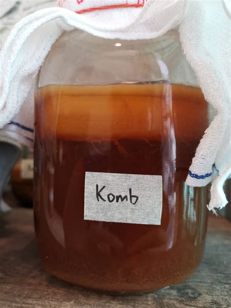 Healthy Kombucha And Jun Scoby With Starter Tea Food And Drinks Beverages On Carousell