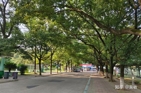 湖南文理学院芙蓉学院的简短介绍 知乎