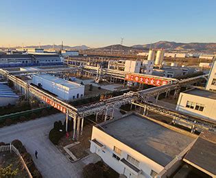 山东岚化化工有限公司
