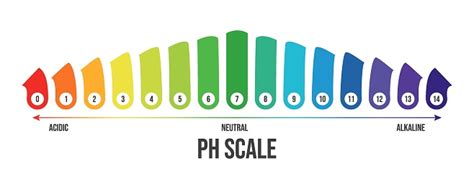 흰색 배경에서 분리된 Ph 스케일의 벡터 일러스트레이션 색상 Ph 값 척도 차트 미터 인포 그래픽 산 알칼리성 용액에 대한 리트머스 종이 표시기 규모에 대한 스톡 벡터 아트