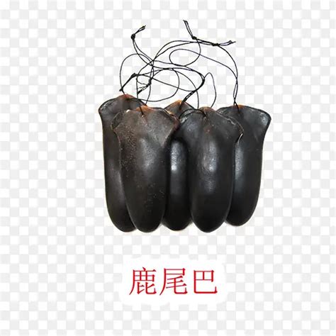 鹿尾巴药材图片PNG图片素材下载 图片编号ypajjkde 免抠素材网