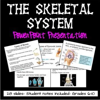 Skeletal System Notes Life Science Lessons Teaching Biology Biology Classroom