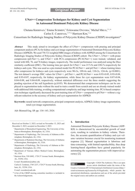 PDF UNet Compression Techniques For Kidney And Cyst Segmentation In