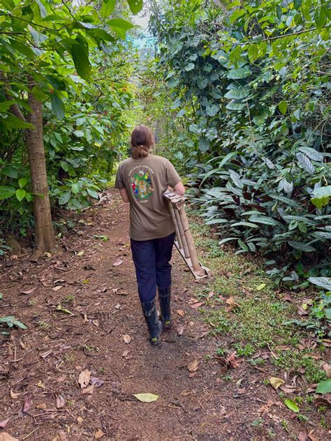 Over The Past Month I Had The Incredible Opportunity To Immerse Myself In Wildlife Conservation