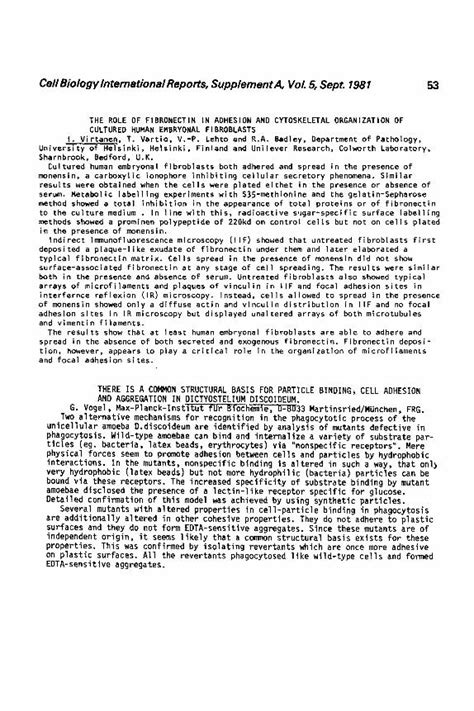 Pdf There Is A Common Structural Basis For Particle Binding Cell Adhesion And Aggregation In