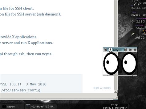How To Forward X Over Ssh In Devuan Freedom World Peace In Unity