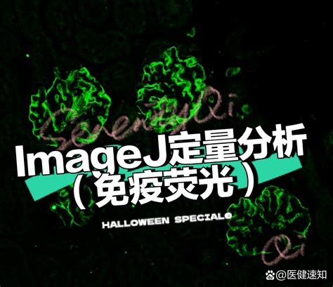 Imagej定量分析（免疫荧光阳性面积怎么定量）