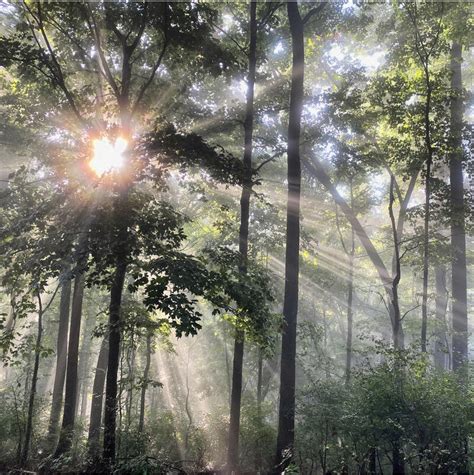 Catholic Charities Diocese Of Nashville On Linkedin Lovehopehealing
