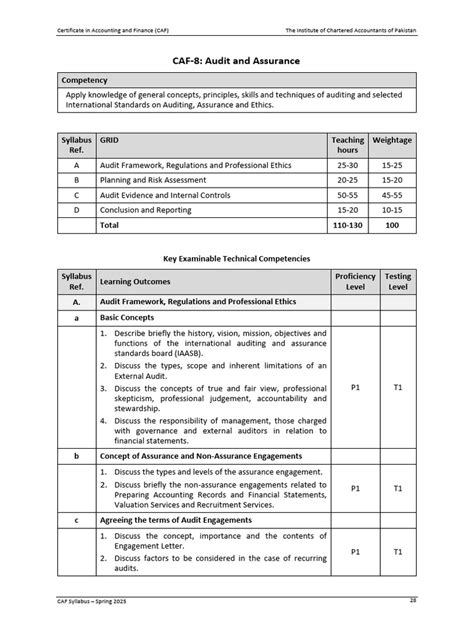 Audit Syllabus Pdf Audit Internal Control