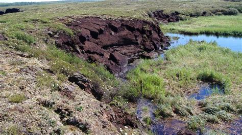 [키워드 브리핑] 탄소 저장소 이탄지 기후변화로 사라진다 더나은미래