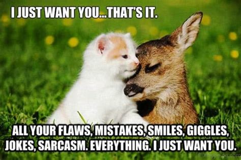 35 Best Romantic Memes For Your Loved One SayingImages