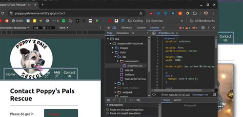 Some Css Declarations Are Just Missing Support Netlify Support Forums