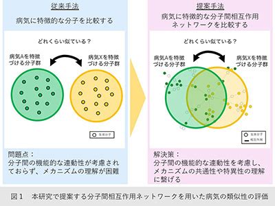 命を見よう～バナナからdnaを取り出してみよう～｜おもしろ科学実験室（工学のふしぎな世界）｜国立大学56工学系学部hp