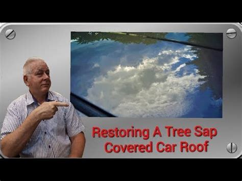 Restoring A Tree Sap Covered Car Roof Youtube