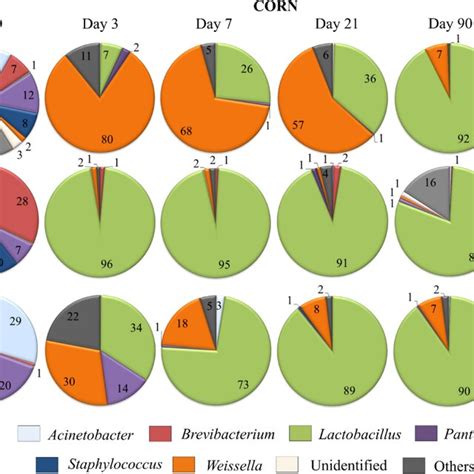 Classes Taxonomic Profiles Of Bacterial Communities Of Rehydrated Corn Download Scientific