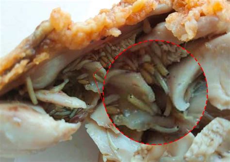 Mumbai Man Finds Maggots In Kfc Chicken Company Denies