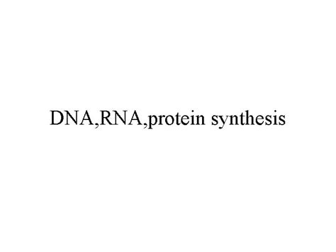 Dna Rna Protein Synthesis Deoxyribonucleic Acid Dna Is