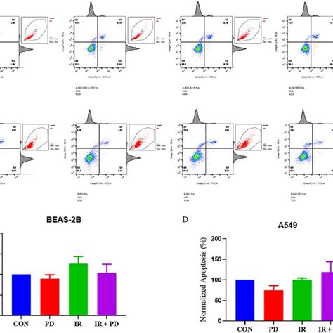 Cellular Apoptosis Is Determined By Flow Cytometry A B Representative