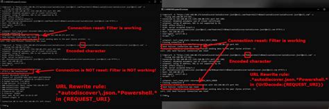 Microsoft обновила рекомендации по защите от уязвимостей ProxyNotShell Хакер